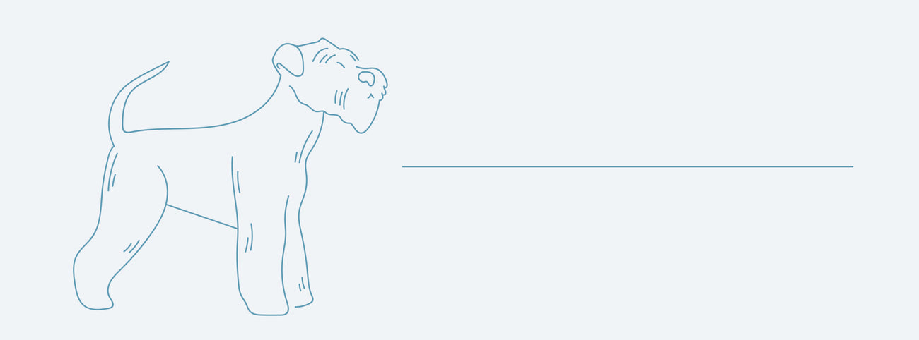 Alt om mellomstore hunderaser | – A-Vet Shop