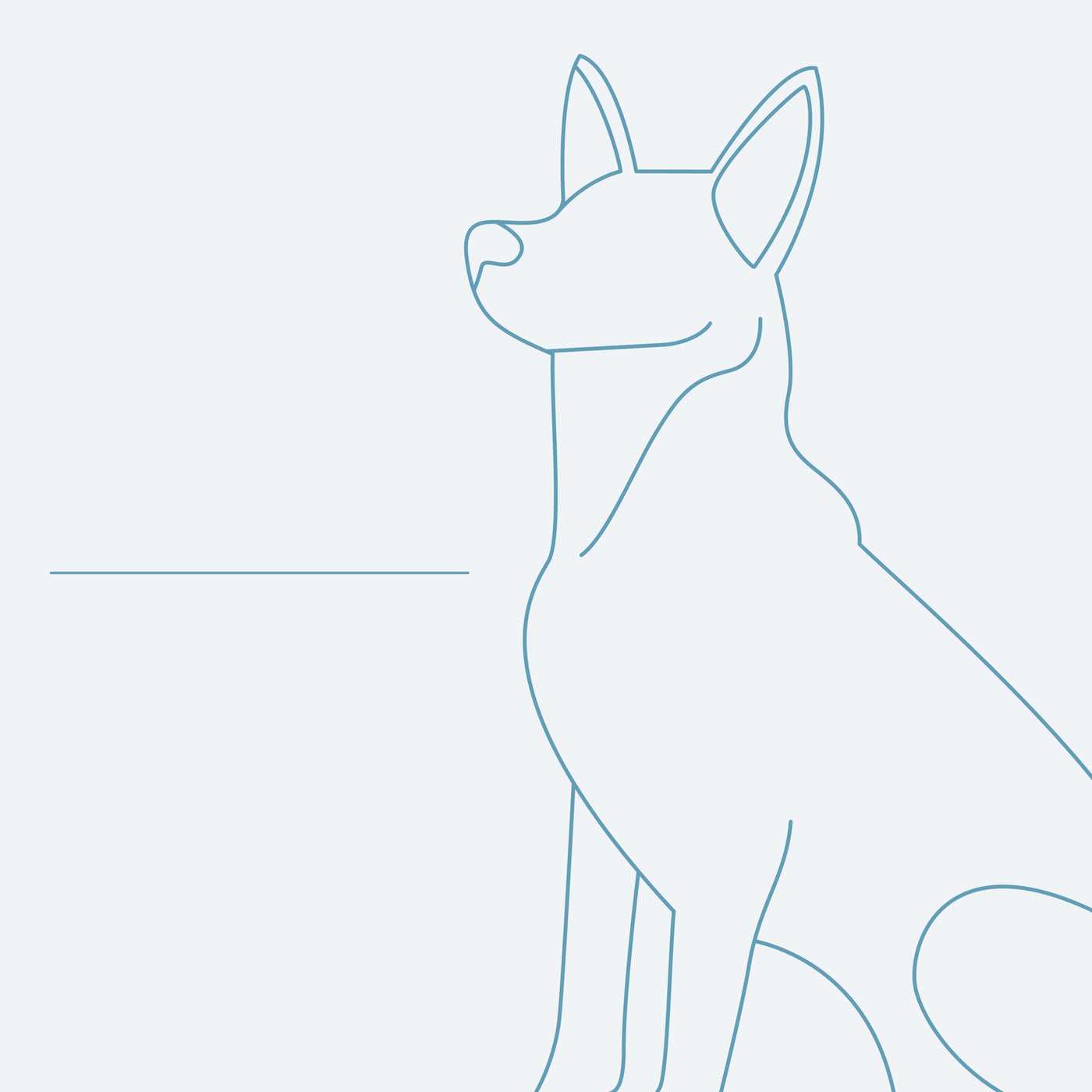 Alle hunderaser | Hunderasebibliotek – A-Vet Shop